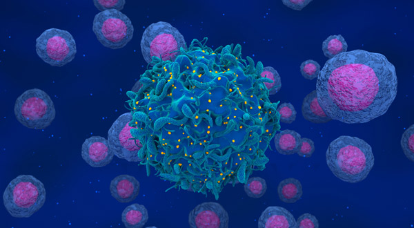 Improving HIV Latency-Reversing Strategies - amfAR, The Foundation for ...