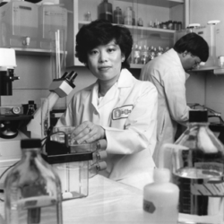 Groundbreaking amfAR Grantee Dr. Nancy Chang Honored - amfAR, The ...